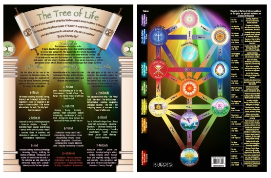 Tree of Life Chart | Enchanted DragonFly